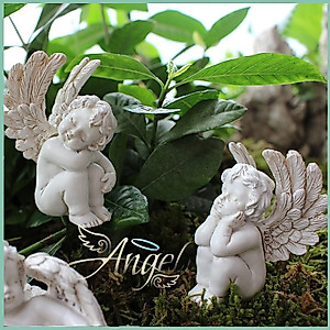 Set of 5pcs Miniature Angel Figurine, Mini White Baby Cherub Wings Fairy Garden Statue Resin Bonsai Ornaments Flower Pot Sculpture for Outdoor Micro Landscape Lawn Décor
