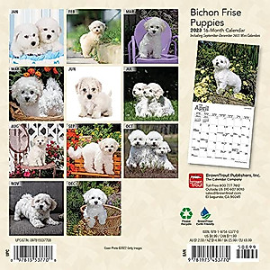 Bichon Frise Puppies | 2023 7 x 14 Inch Monthly Mini Wall Calendar | BrownTrout | Animals Dog Breeds Puppy DogDays