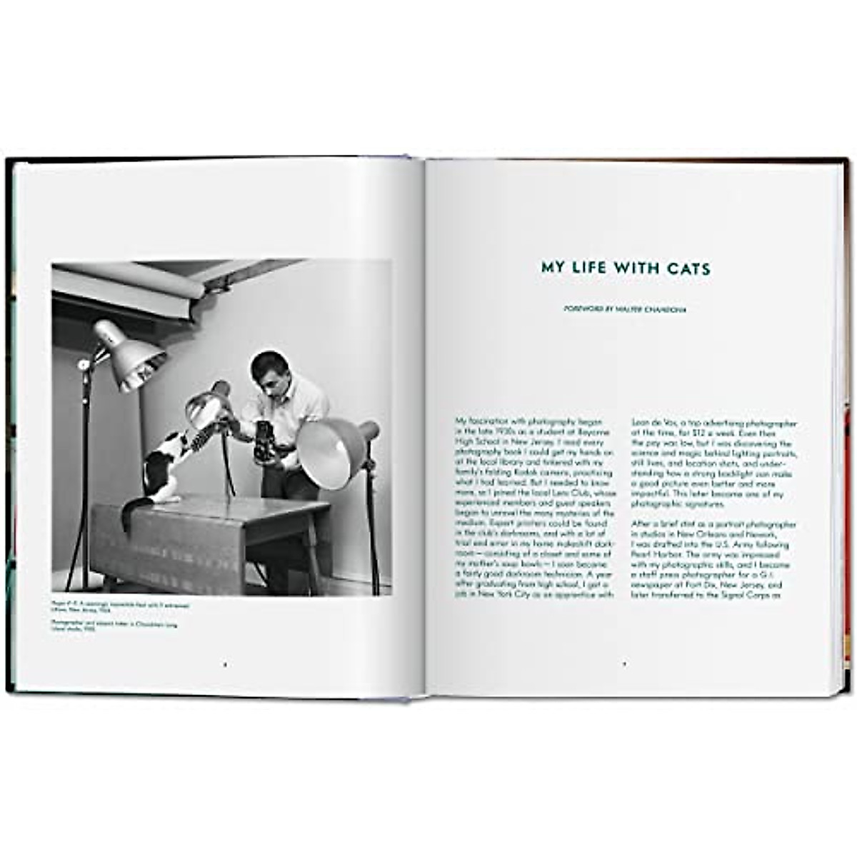 Cats: Photographs 1942 - 2018