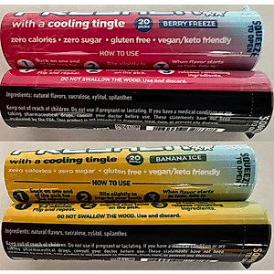 Xero Picks Freshen - Infused Flavored Toothpicks - Cooling Fresh Breath - 100 Picks - 5 Pack - Variety- polar grape, arctic chill, banana ice, berry freeze and crisp apple