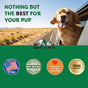 Milk Thistle for Dogs - Supports Liver and Kidney Health - Milk Thistle for Dogs Liver Support - Dog Milk Thistle - Dog Liver Support - Dog Liver Supplement - Milk Thistle Supplement for Dogs - 1 oz