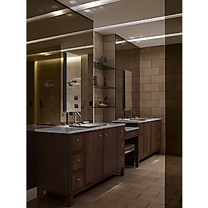 KOHLER 540479 Catalan Medicine Cabinet, Satin Anodized Aluminum