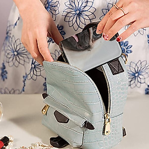 Oyihfvs Vey Cute Pug Dog Grey Credit Card Coin wallet, RFID Blocking Compact Women Leather Card Holder, Key Change Organizer, Zipper Purse Clutch Pouch Pocket, Multi 7, 4.7x3.1x0.8 Inch