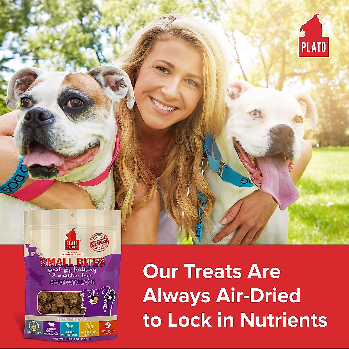 PLATO Pet Treats Small Bites - Air-Dried Training Treats for Dogs - Supports Healthy Digestion - Limited Ingredients - Lamb 2.5oz