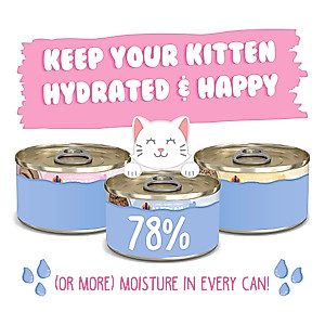 Weruva Kitten, Fur Baby Favorites Variety Pack, 3oz Can (Pack of 12)