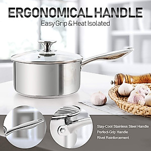 MICHELANGELO Premium Stainless Steel Saucepan Set 1Qt & 2Qt,10 Inch Stainless Steel Frying Pan with Lid