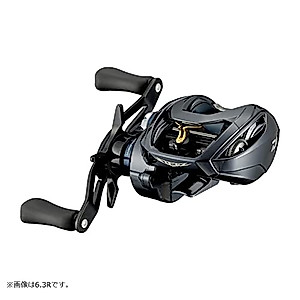 Daiwa Steez A TW HLC 8.1R Baitcasting Reel
