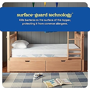 Sealy Dreamlife 2” Gel Memory Foam Mattress Topper with Cooling Cover, Queen