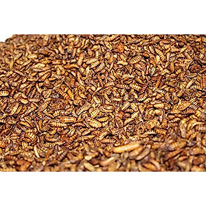 Hexafly Wild Bird Feed (100g Pack) - Dried Calci Worms or Chubby Worms from Black Soldier Fly Larvae
