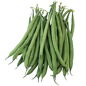 Burpee French Filet Bush Bean Seeds 8 ounces of seed