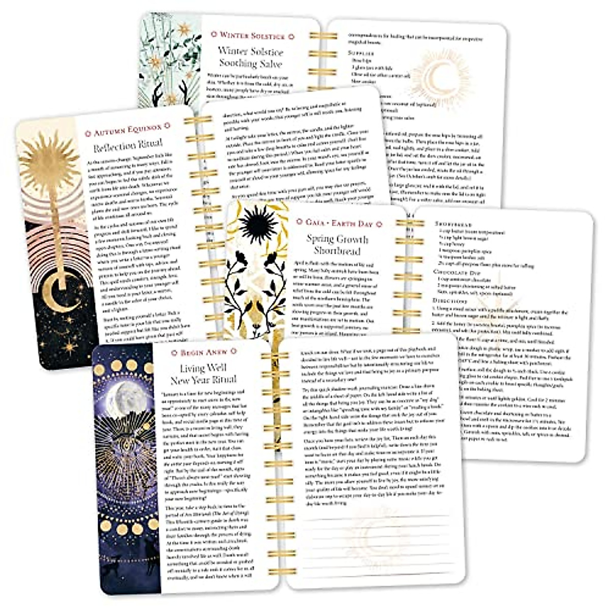 Year of the Witch 2024 Weekly Planner by Temperance Alden | Travel-Size 12-Month Calendar | Compact 5" x 7" | Flexible Cover, Wire-O Binding, Elastic Closure, Inner Pockets