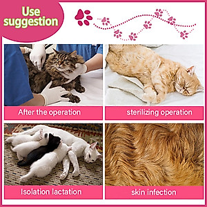 Cat Surgery Suit Surgical Cat Professional Recovery Suit for Abdominal Wounds or Skin Diseases, E-Collar Alternative for Cats and Dogs, After Surgery Wear, Cat Surgical Mask (M, Pink)