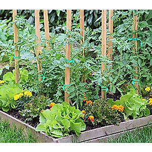 Unves Garden Tape Roll, 1/2" 300 Ft Plant Tape, Reusable Stretch Tie Tape for Plants, Nursery Tree Tape Support for Indoor Outdoor Patio Plant, Tree, Vegetables, Branches