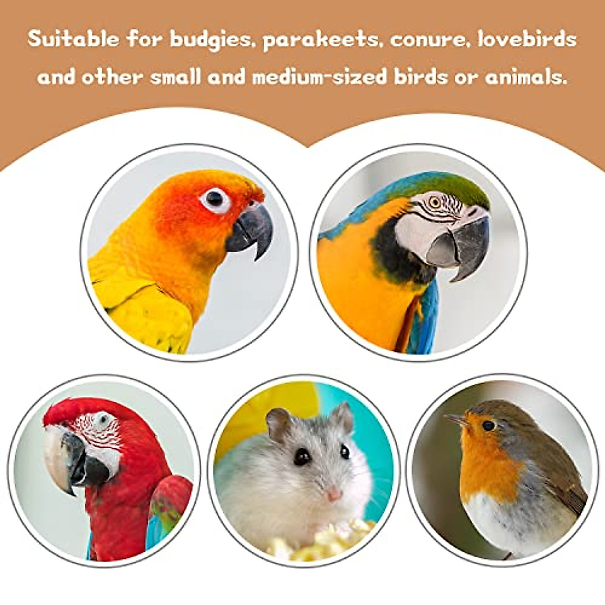 9 PCS Bird Perches Stand Toy, Natural Wood Parrot Perch Stand Bird Cage Branches Platform Accessories for Parakeets Cockatiels Conures Macaws Finches Love Birds
