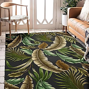 Dalyn Rugs Indoor/Outdoor Tropics TC1 Black Washable 8' x 10' Rug