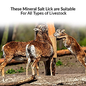 Himalayan Nature Licking Salt for Deer - 2 Pack