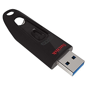 SanDisk 128GB Flash Ultra (10 Pack Bundle) 3.0 USB Flash Drive High Performance Thumb Drive (SDCZ48-128G-U46) Plus (5) Everything But Stromboli (TM) Lanyard
