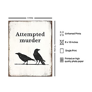 Crow Raven Wall Art & Decor - Unique Gift for Ornithology, Attempted Murder Mystery, True Crime, Bird Watching, Birdwatching, Writer, Author, Ornithologist, Men, Women - Funny Sayings Poster