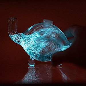 Bioluminescent Bio-Turtle