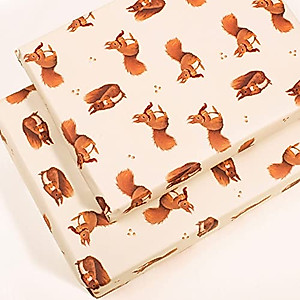 CENTRAL 23 Fall Wrapping Paper - 6 Gift Wrap Sheets For Birthday or Christmas - Thanksgiving Wrapping Paper For Boys Girls - Easter Paper - Squirrel Design - For Kids Men Women - Recyclable