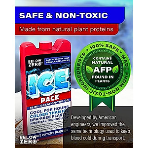 Below Zero Reusable Ice Packs for Large Coolers and Lunch Bags – Patent Pending Coldest and Longest Lasting Technology, Upto 8 Hour Cooling Ice Gel Pack - Factory Sealed – 6 Pack Small