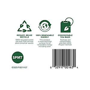 Traditional Medicinals Organic Spearmint Herbal Tea, Supports Healthy Digestion, (Pack of 2) - 32 Tea Bags Total