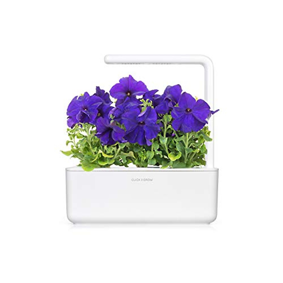 Click and Grow Smart Garden Blue Petunia Plant Pods, 3-Pack