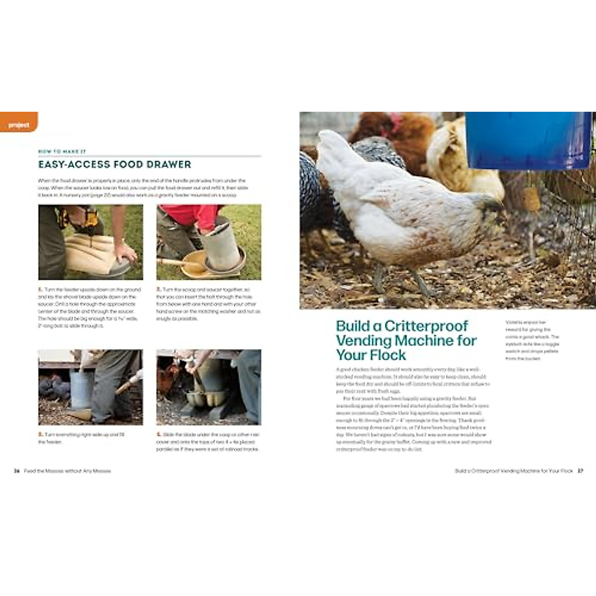 Hentopia: Create a Hassle-Free Habitat for Happy Chickens; 21 Innovative Projects