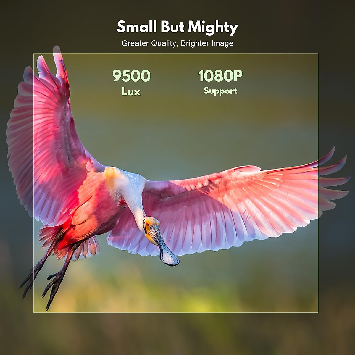 WiFi Projector with 100’’ Projector Screen, 9000Lux Projector for Outdoor Movies 1080P Full HD Supported Mini Portable Projector Compatible with Smartphone TV Stick HDMI USB AV AUX