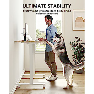 BANTI Standing Desk, 48 x 24 Inch Electric Stand up Height Adjustable Home Office Table, Sit Stand Desk with Splice Board, Maple