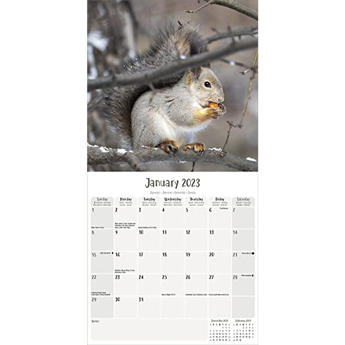 Squirrel Calendar - Cute Animal Calendar - Calendars 2022 - 2023 Wall Calendars - Animal Calendar - Squirrels 16 Month Wall Calendar by Avonside