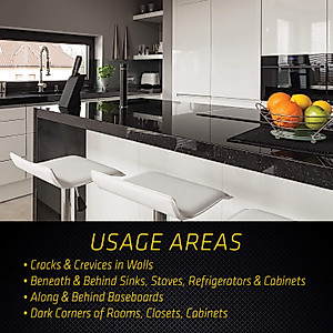 Black Flag Ant and Roach Killer 17.5 Ounces, Aerosol Spray, Unscented