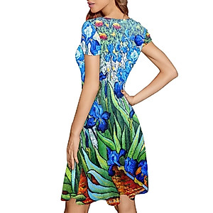 POLERO Van Gogh Irises Dress for Women Oil Painting Print Dress for Casual Summer Short Sleeved Dresses Size XL
