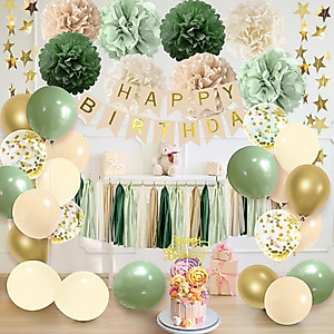 Sage Green Birthday Party Decorations with Birthday Banner,Tissue Tassels Paper Pompoms Balloons Star Garland Cake Topper Birthday Decorations for Women Adults