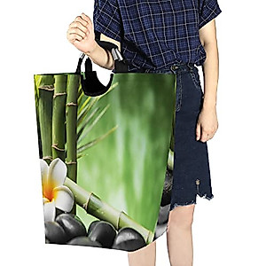 Zen Basalt Stone Bamboo and Blossom Flowers Collapsible Laundry Basket Fabric Laundry Hamper Foldable Clothes Bag Folding Washing Bin for College Student