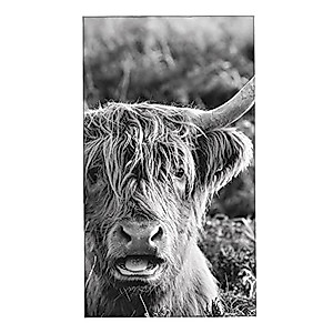Hand Towel Highland Cows Moorland Face Washcloths Fingertip Bath Towels 27.5 X 15.7 Inch Microfiber Quick Dry Soft Absorbent Luxury Kitchen Dish Cloth for Bathroom Beach Gym Hotel Salon Spa Sport