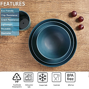 Shopwithgreen Plastic Dinnerware Sets (16PCS) - Lightweight & Unbreakable Dinnerware Set - Microwave Safe Plates Set, Bowls, Cups Mugs, Service for 4, Great for Kids & Adult