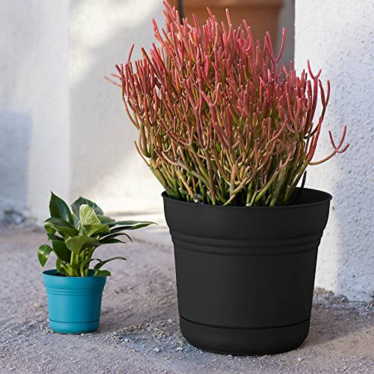 Bloem Saturn Round Planter with Saucer Tray: 12" - Black - Durable Plastic Pot, Matte Finish, Removable Saucer, for Indoor & Outdoor Use, Gardening, 3 Gallon Capacity
