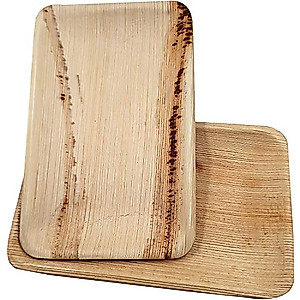 Dtocs Palm Leaf Plates 6x9 Inch Rectangle Tray (Pack 50) | Bamboo Plate Like Biodegradable Compostable Plate, Disposable Charcuterie Board, Mini Cheese Board | Sturdy Than Heavy Duty Paper Plates