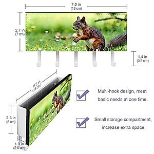 Cute Squirrel Mail Holder Organizer and Key Hooks PU Front, Self Adhesive Key Rack with 5 Hooks Perfect for Entryway, Hallway，Bathroom ，Kitchen