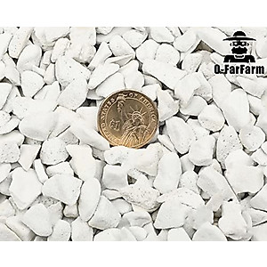 O-FarFarm Chunky Perlite Bulk, Horticultural Pearlite Coarse Perlite for Plants Indoor, Additive Conditioner Mix, Improve Drainage and Ventilation, Help Root Growth(5-10mm, 1qt)