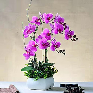 YESEEM 20Pcs 15.75 Inches Bendable Metal Orchid Stakes,Green Garden Plant Support,Plastic Coated Plant Stakes for Potted House Plants Indoor and Outdoor Included 100 Metallic Twist Ties,FHD007