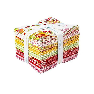 My Mind's Eye Picnic Florals 21 Fat Quarters Riley Blake Designs FQ-14610-21, Assorted