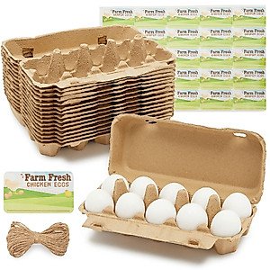 15 Pack Paper Egg Cartons for 10 Chicken Eggs, Reusable Cartons with Labels and Twine