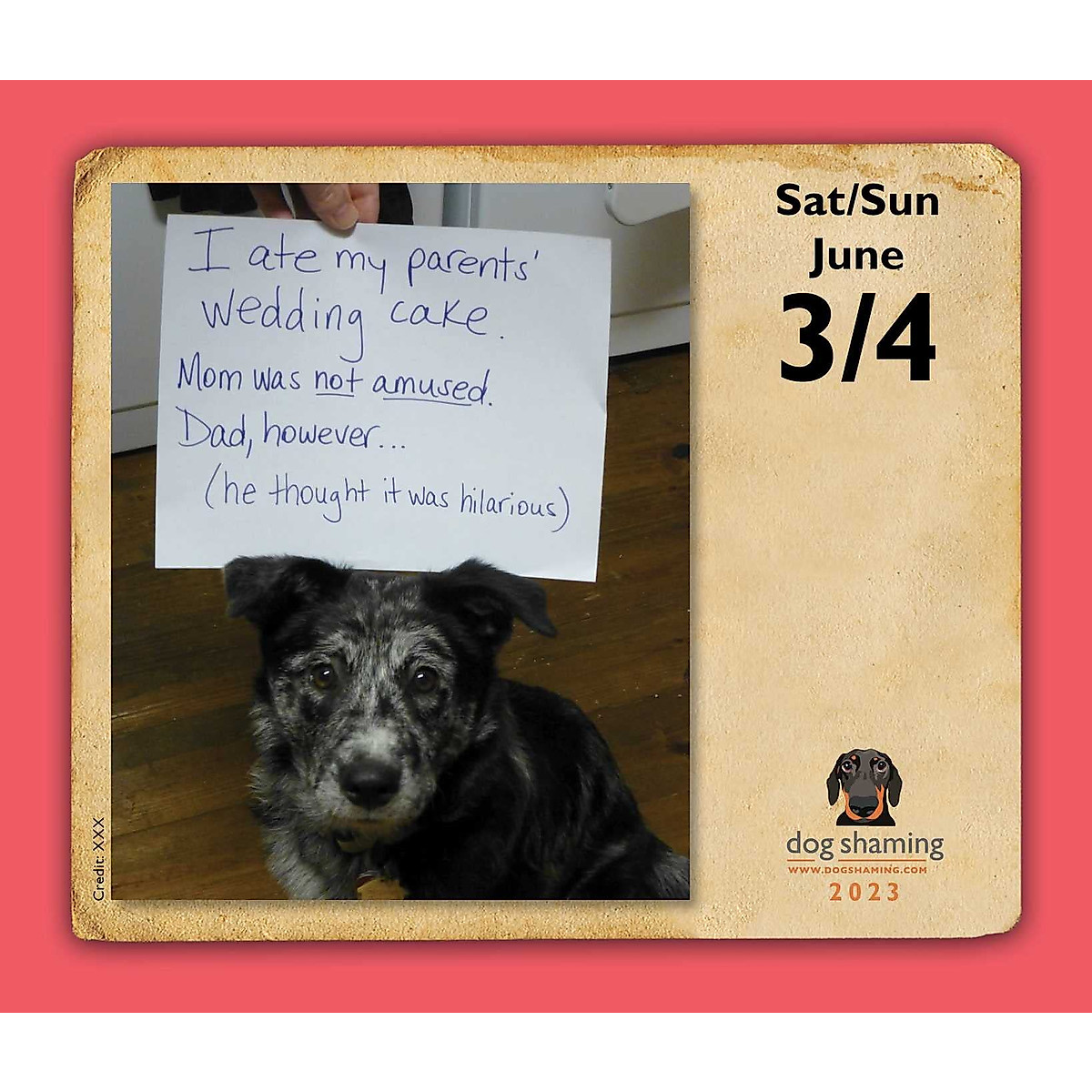 Dog Shaming 2023 Day-to-Day Calendar