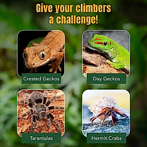 Meric Leopard & Crested Gecko Grass Mat, 4 Pack, Straw Bedding Floor Mat for Nesting Cage, Glass Tank Background Décor, Use as Peg Board in Tank or Cage to Hang Air Plants, Java Fern, Bird Toys