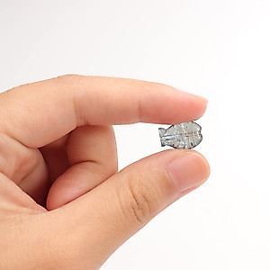 210Pcs Colorful Fish Glass Beads Fish Beads Sea Glass Beads Glass Fish Beads for Jewelry Making