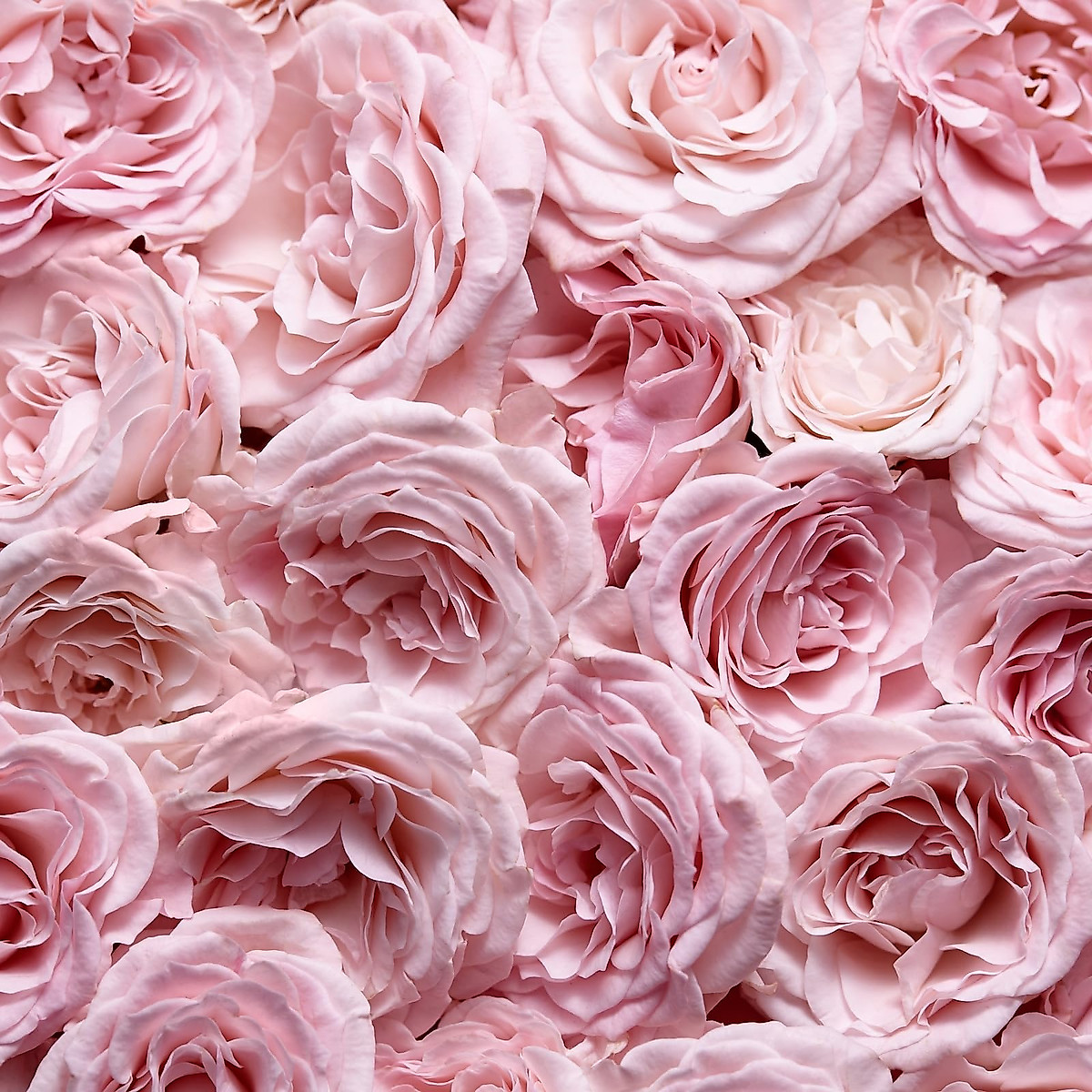 Escada Especially Eau De Parfum Spray, 1 Fl Oz