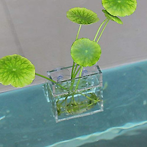 MOCOHANA® Transparent Acrylic Mini Suction Cup Aquatic Plant Cup Pot Planter Holder for Aquarium Fish Tank Decor (S)