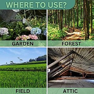 Shorty Tube Squirrel Trap –Compact Spring-Loaded Rodent Snare by Wildlife Control Supplies –Safe and Effective Pest Control for Commercial and Residential Use –Great for Backyards, Patios, and Gardens